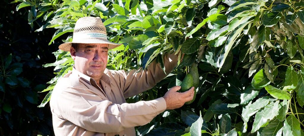 Frutas Montosa - Agro Magazine
