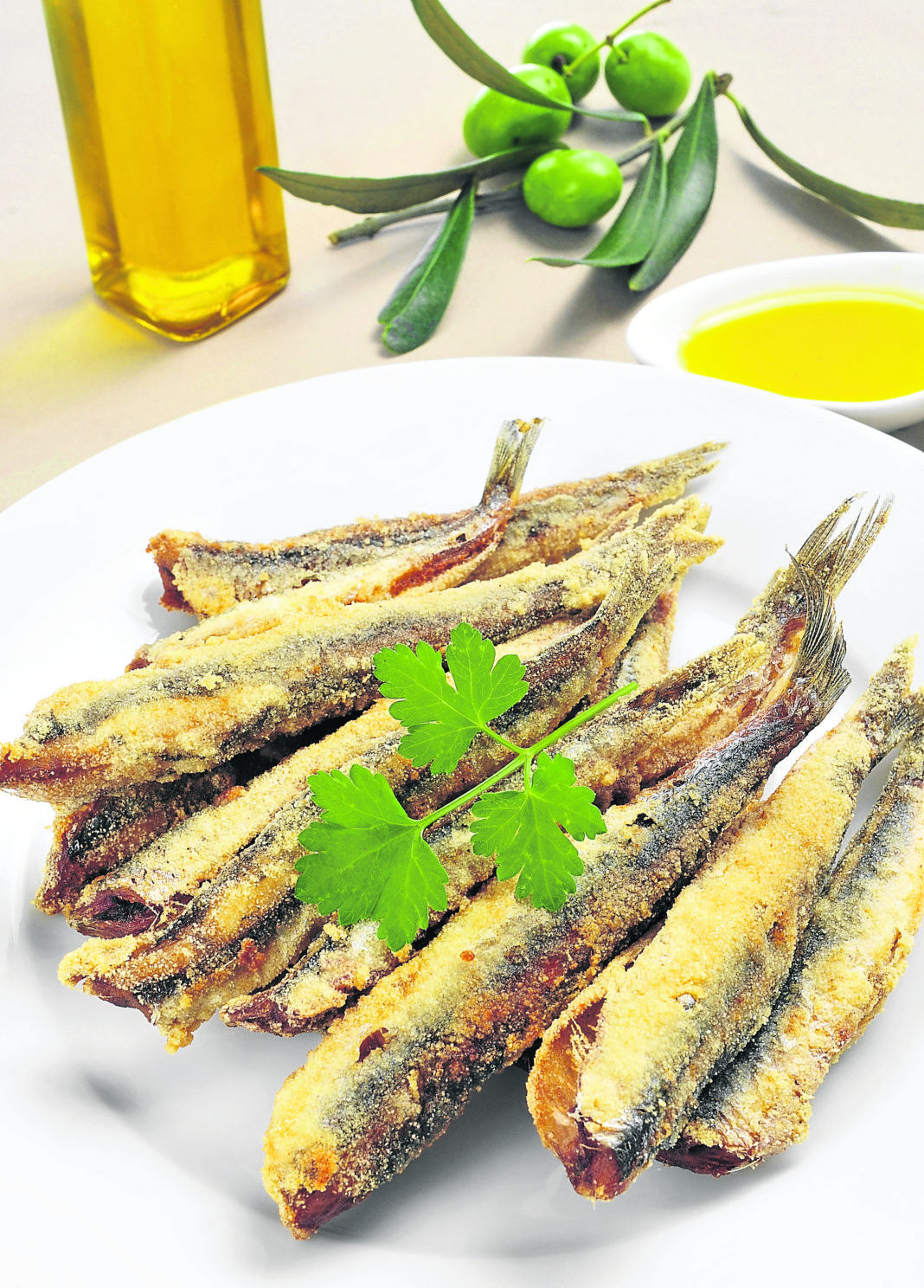 Boquerón: el pez de plata - Agro Magazine